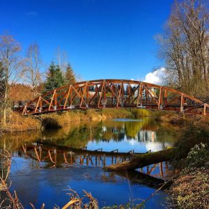 Fischer Plumbing | Seattle, WA Plumbing Expert